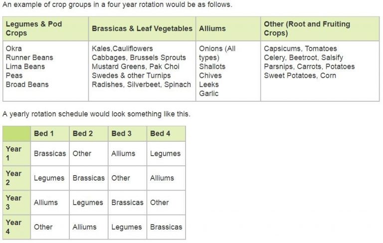 Crop Rotation – Sanctuary Point Garden Centre