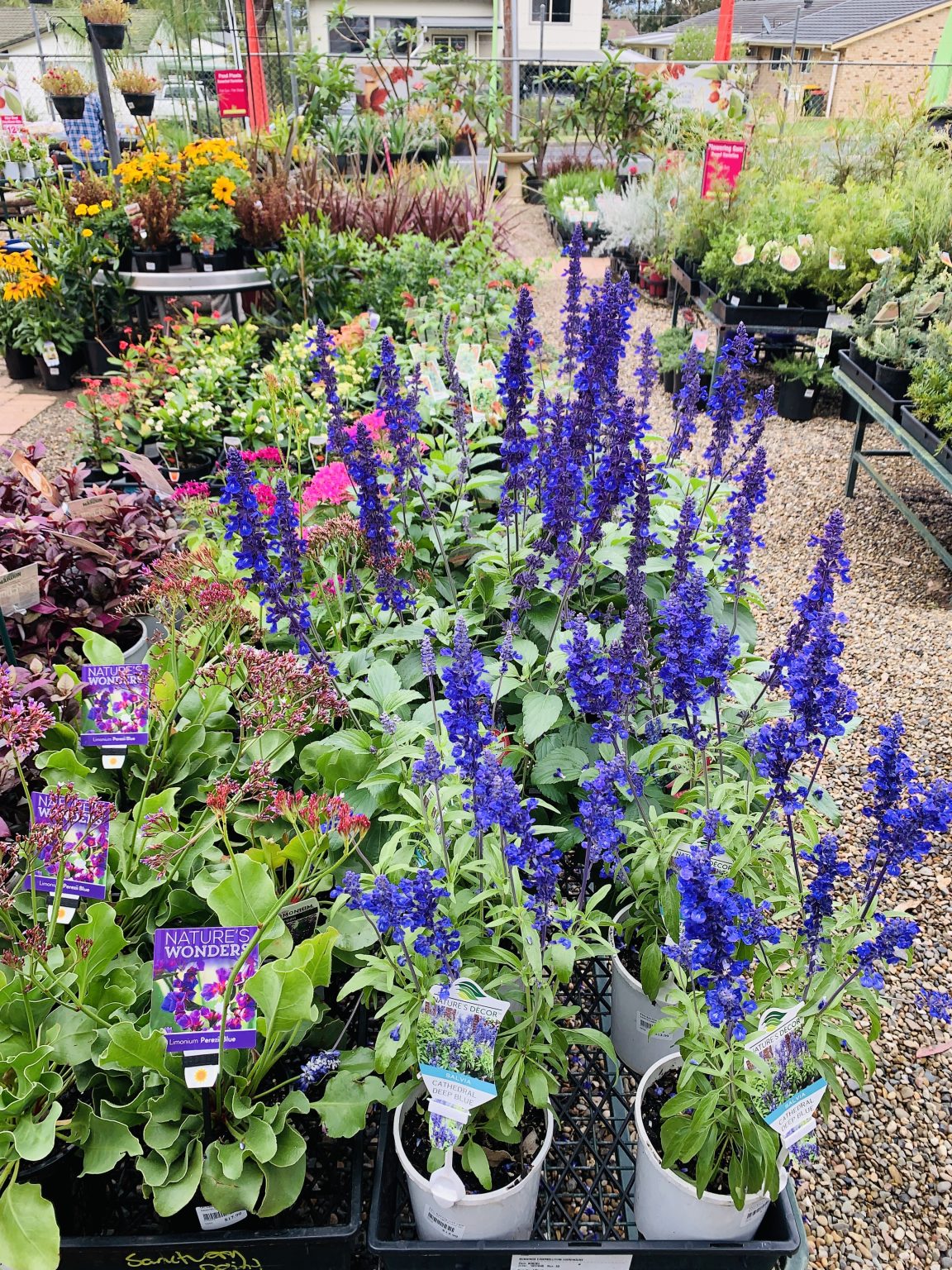 October Long Weekend 2025 – Sanctuary Point Garden Centre